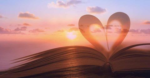 Kennis, ervaring en eigen wijsheid - CS Expert Coaching